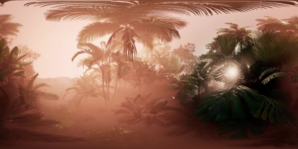 VR360 Camera Moving in a Tropical Jungle Rainforest, Motion Graphics
