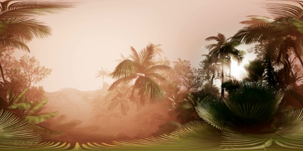 VR360 Camera Moving in a Tropical Jungle Rainforest, Motion Graphics