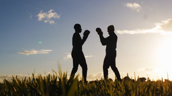 Boxing Workout with Trainer Outdoors, Stock Footage | VideoHive