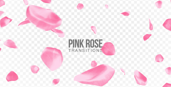 Pink Rose Transitions, Motion Graphics | VideoHive