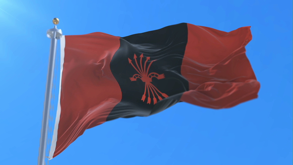 Flag of Falange Española de la JONS, Motion Graphics | VideoHive