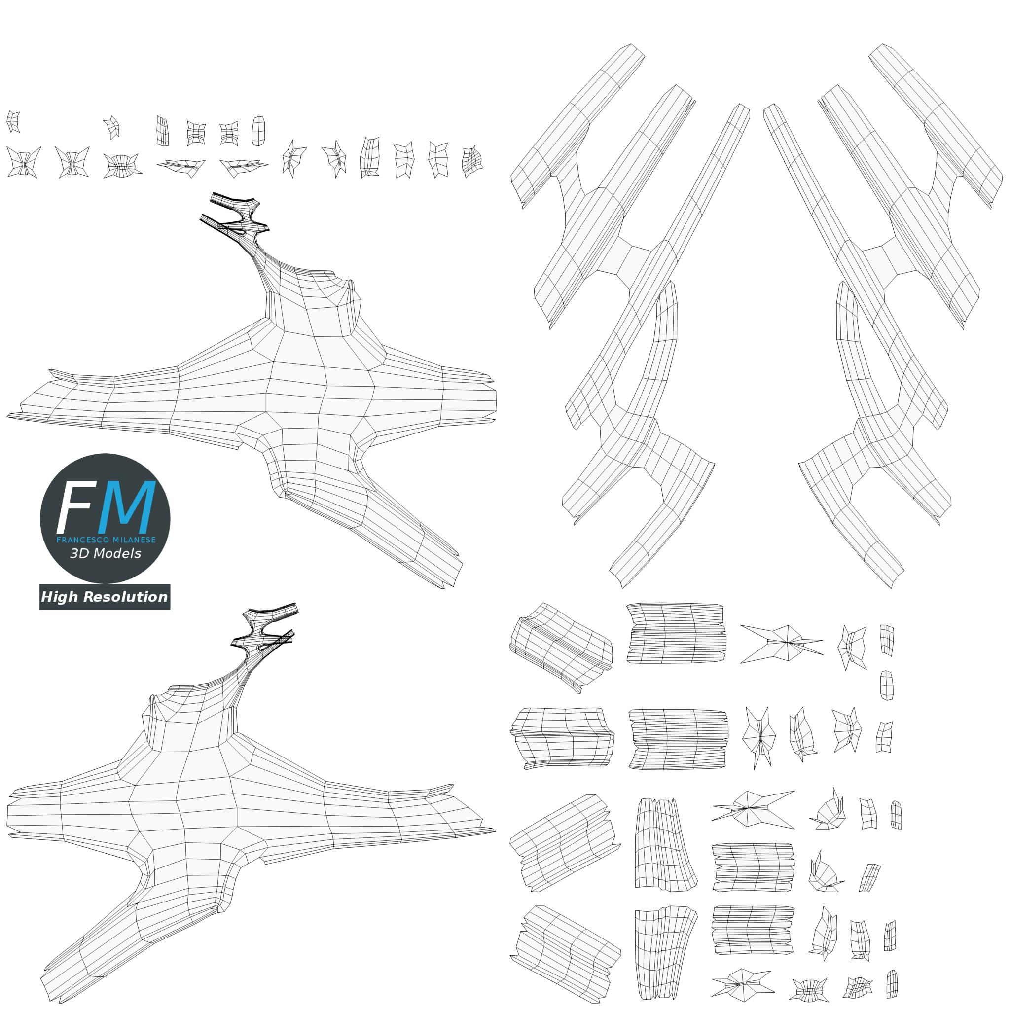 Anatomy - Human Spine Torso and Rib Cage by FrancescoMilanese | 3DOcean