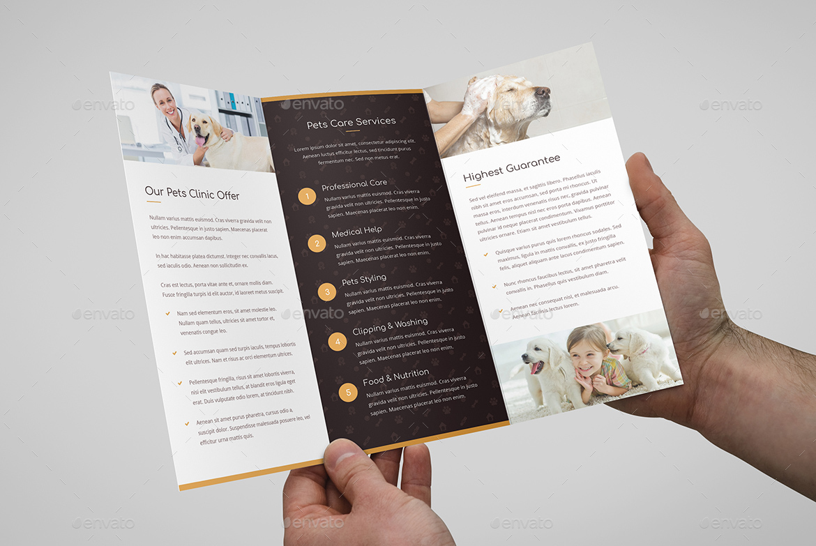 Pets Care – Bundle Print Templates 5 in 1, Print Templates | GraphicRiver