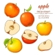 Apple Vector Set, Vectors | GraphicRiver
