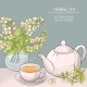 Jasmine Tea Vector Illustration, Vectors | GraphicRiver