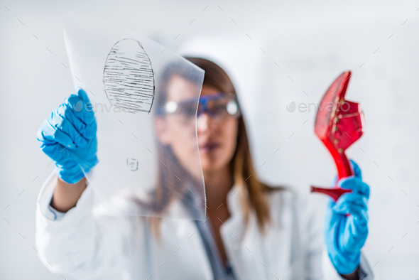 Forensic science expert examining objects from a crime scene Stock ...