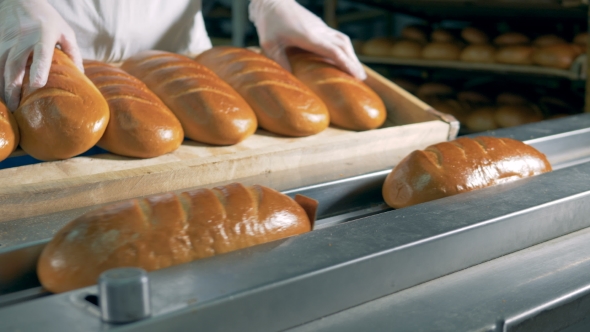 Worker Put Fresh Bread. Long Loaves on the Conveyor, Stock Footage