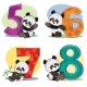Vector Set of Baby Panda Bears with Numbers, Vectors | GraphicRiver