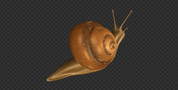 Snail - Moving Loop - Back View, Motion Graphics | VideoHive