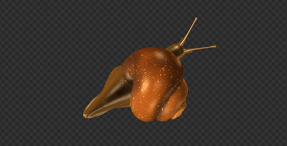 Snail - Moving Loop - Top View, Motion Graphics | VideoHive