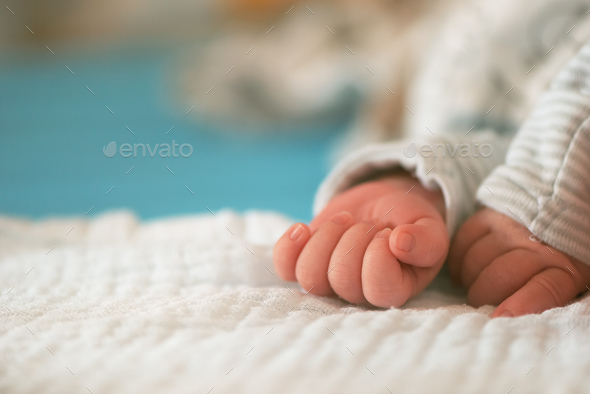 Newborn baby hands Stock Photo by stevanovicigor | PhotoDune
