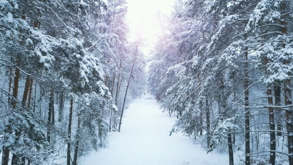 Winter, Stock Footage | VideoHive