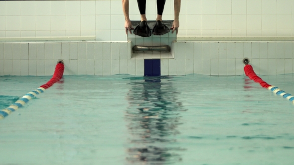 Athlete Dives Into the Pool, Stock Footage | VideoHive