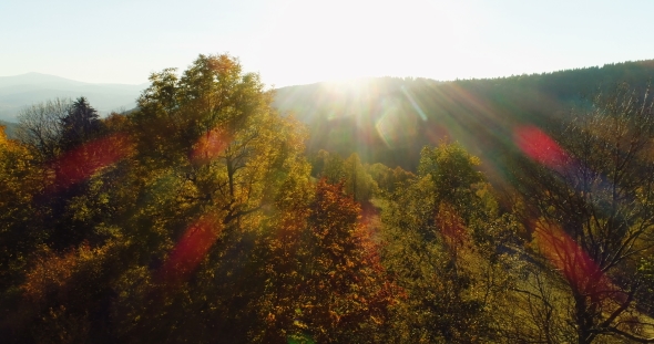 Aerial View Sunrise, Sunset Over of Forest, Stock Footage | VideoHive