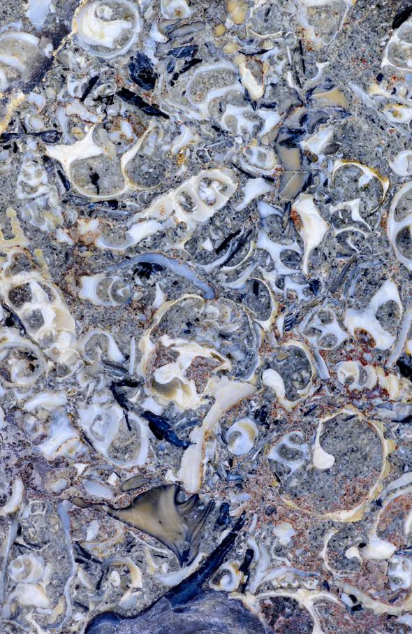 Abstract mineral texture Stock Photo by sergeyskleznev | PhotoDune