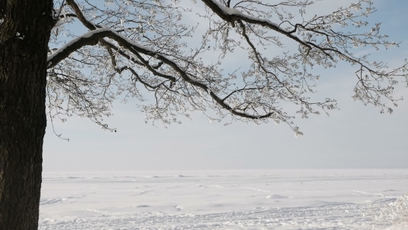 Snow-covered Bay with Wood, Stock Footage | VideoHive