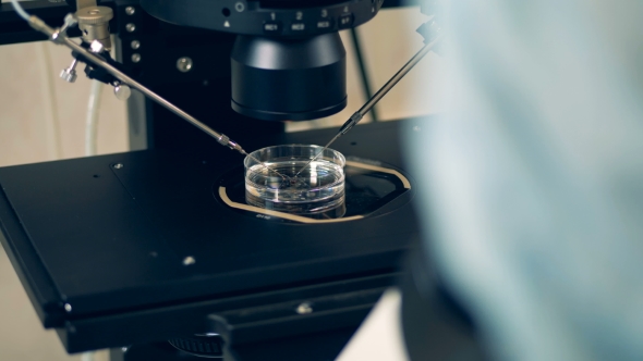 Object Being Observed Through a Microscope, Stock Footage | VideoHive