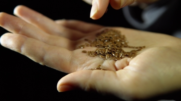 Fingers Move a Seed of Flax in Hand on a Black Background, Stock Footage
