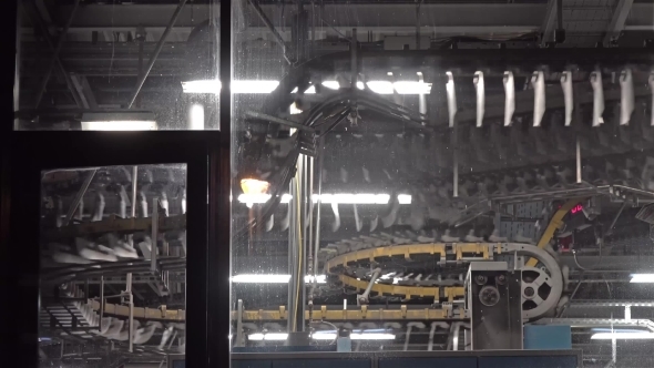 Newspaper Production Lines Seen Through a Window, Stock Footage | VideoHive