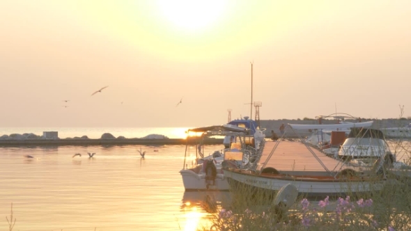 Marine Scene with Harbour and Sea-gulls at Sunset, Stock Footage ...