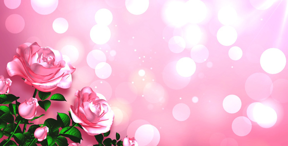 Spring Rose, Motion Graphics | VideoHive