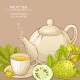 Soursop Tea Vector Background, Vectors | GraphicRiver