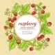Raspberry Vector Frame by cuttlefish84 | GraphicRiver