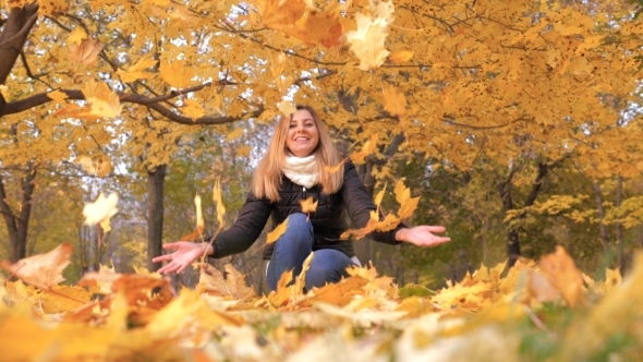 Enjoying Woman Throwing Autumn Leaves Funny Laughing In Colorful Forest ...