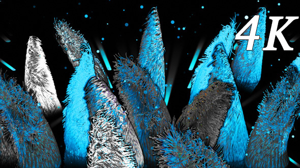 Crazy Fur 4K 02, Motion Graphics | VideoHive