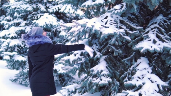 Winter Park with Snow-covered Trees, a Girl Touches a Branch, Snow ...