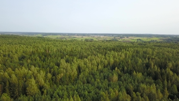 Forest Landscape from a Birds Eye View, Stock Footage | VideoHive