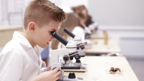 Elementary School Biology Class. Children Studing Biology in School ...