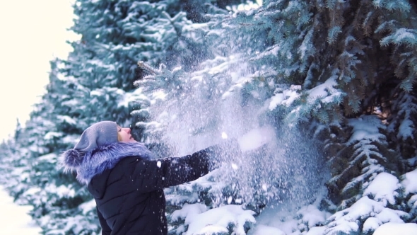 a Girl in a Winter Park Touches Snow on a Tree. the Snow Falls From the ...