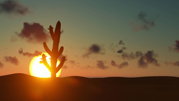 Timelapse Of Sunrise Over Desert, Motion Graphics | VideoHive