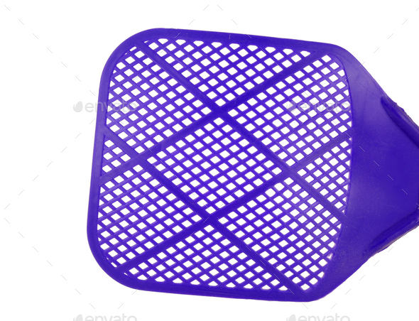 Purple Fly Swatter Stock Photo by njnightsky | PhotoDune