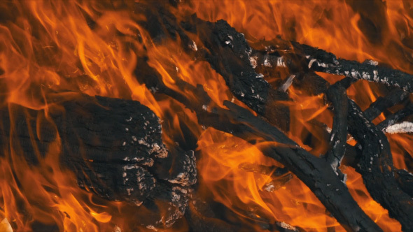 Wood Fire Burning Slow, Stock Footage | VideoHive