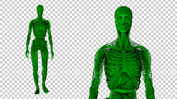 Wired Green Anatomy Walk Animation, Motion Graphics | VideoHive