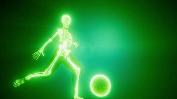 Soccer Game Player, Motion Graphics | VideoHive