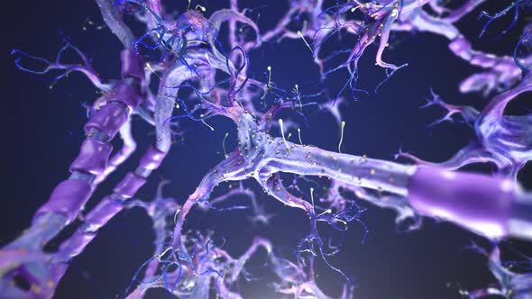 Brain Neurons Micro, Motion Graphics | VideoHive