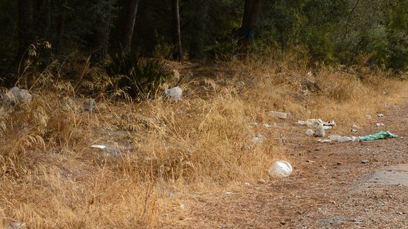 Garbage in a Forest, Stock Footage | VideoHive