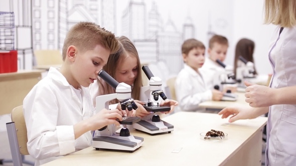 Modern Biology Lesson in Elementary School, Stock Footage | VideoHive