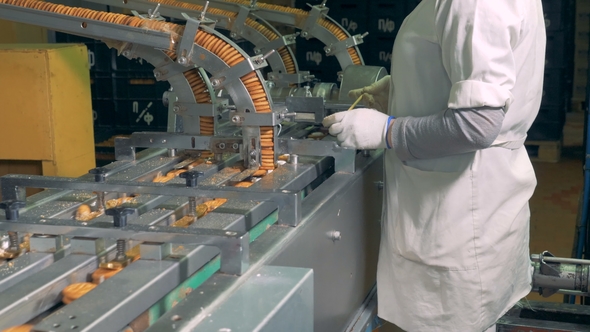 Factory Worker Is Directing the Process of Biscuits Manufacturing By ...