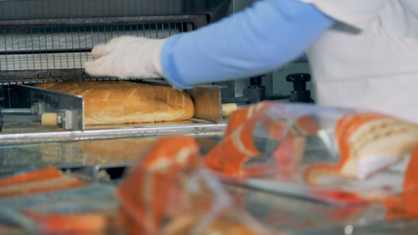 Worker Packing Bread at a Conveyor. , Stock Footage | VideoHive