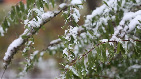 First Snow in the City - Cold Fall Season, Stock Footage | VideoHive