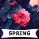 25 Spring Photoshop Actions, Add-ons | GraphicRiver