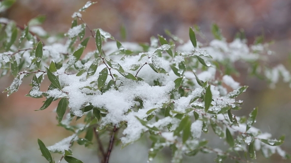 First Snow in the City Cold Fall Season, Stock Footage | VideoHive