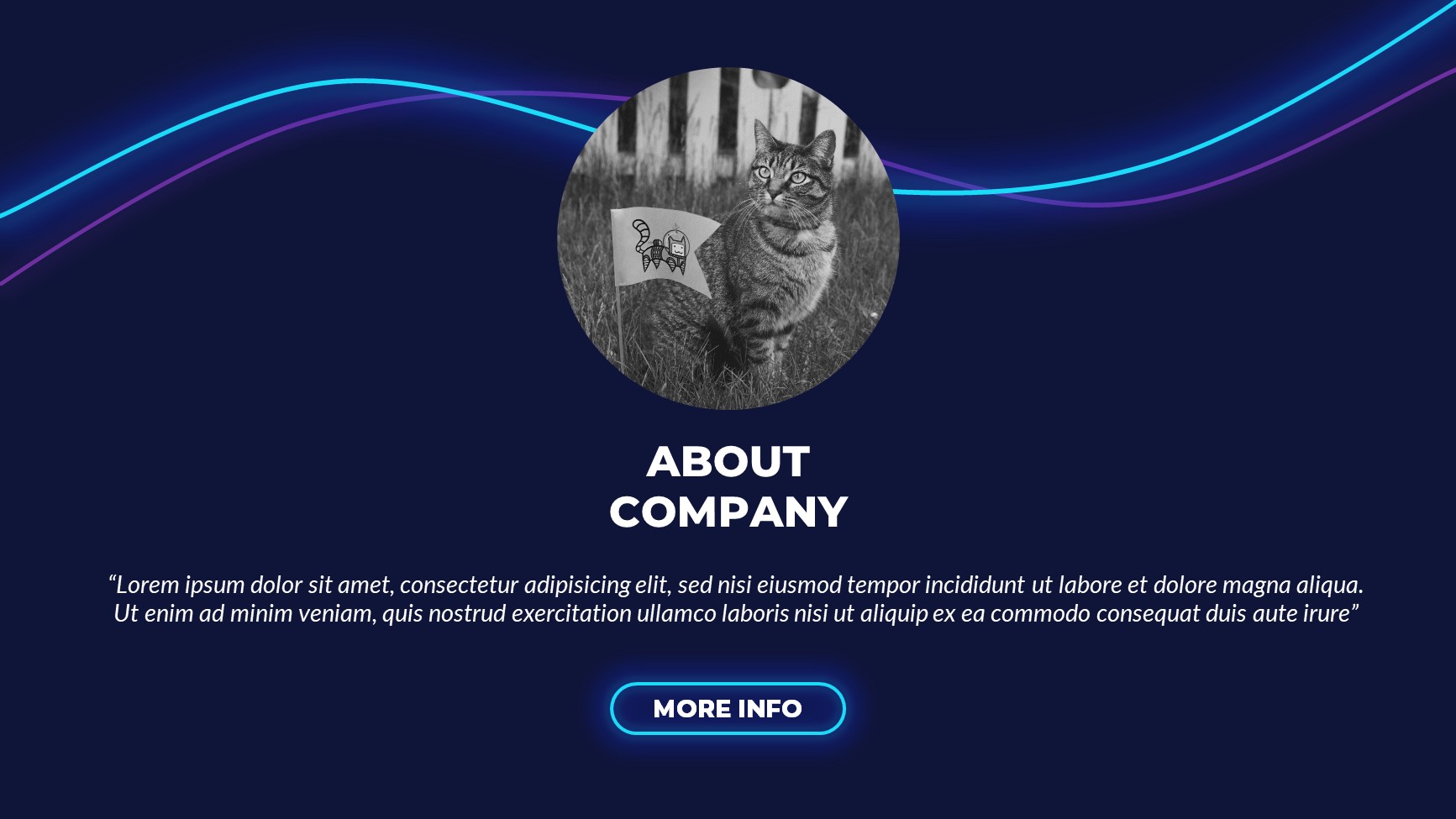 SpaceX PowerPoint Presentation, Presentation Templates | GraphicRiver