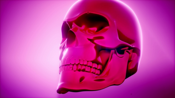 Metall Skull Rotate, Motion Graphics | VideoHive