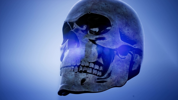 Metall Skull Rotate, Motion Graphics | VideoHive