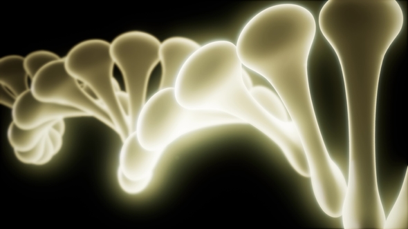 DNA Model Rotate, Motion Graphics | VideoHive